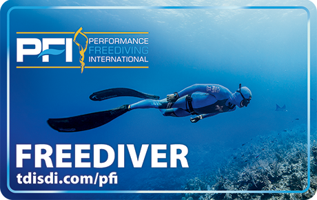 다이빙 교육을 선도하는 SDI.TDI.ERDI KOREA